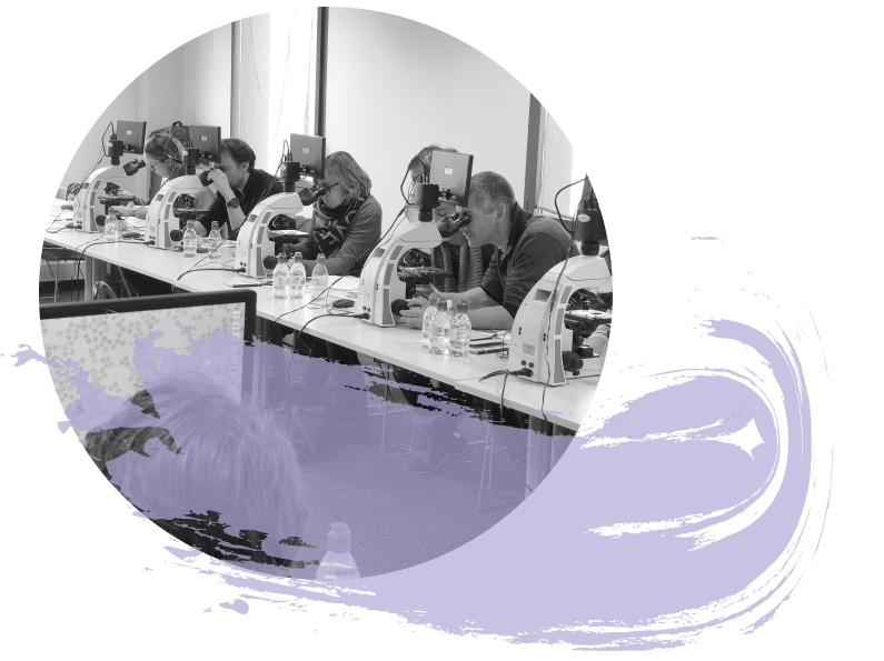 Biologie vétérinaire | Cerbahealtcare